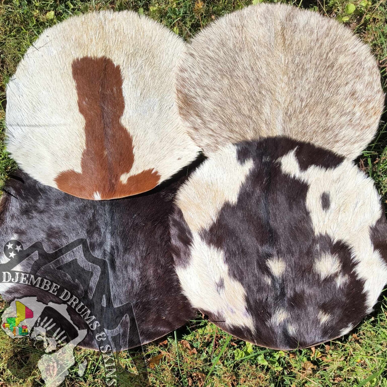 Pre-cut Ivory Coast Goatskin Rounds – With Hair – Djembe Drums & Skins