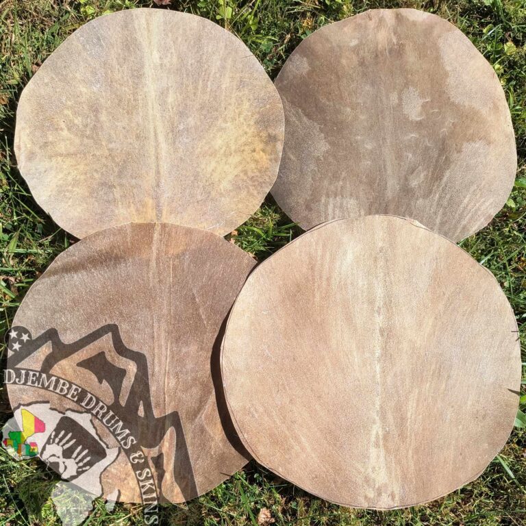 Pre-cut Ivory Coast Goatskin Rounds – Hairless – Djembe Drums & Skins